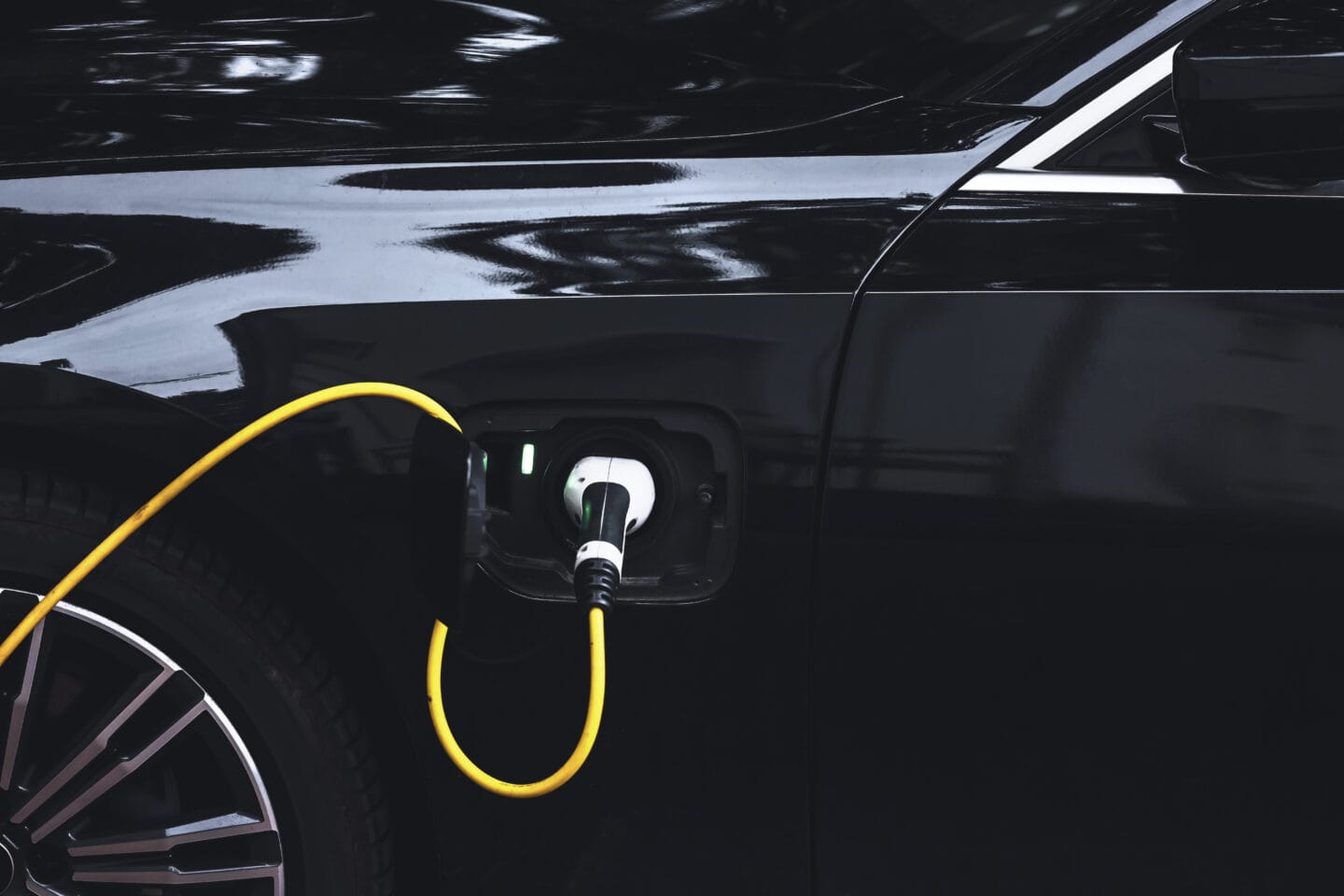 About us - Eco-Movement